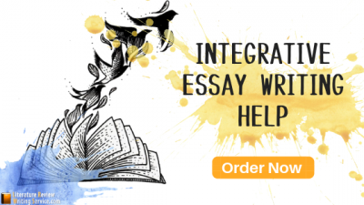 Writing an Integrative Paper | Integrative Paper Sample